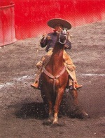 The Mexican Charro - Riviera Maya Playa del Carmen Puerto Morelos Mexico